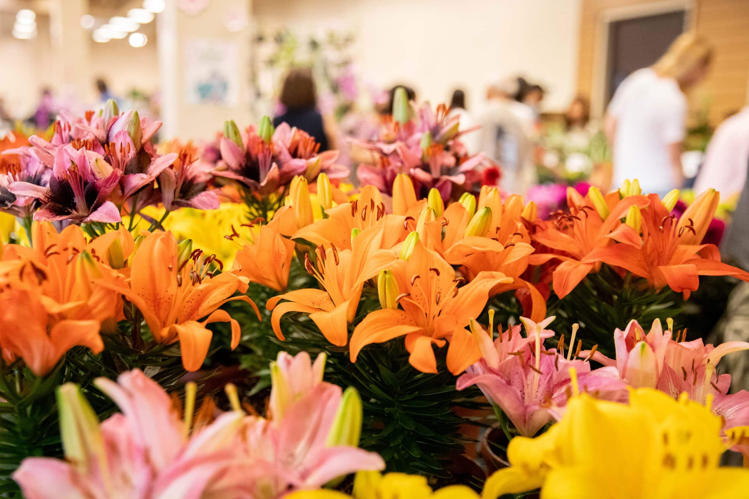 Bloom! Garden & Art Festival - Ward Village