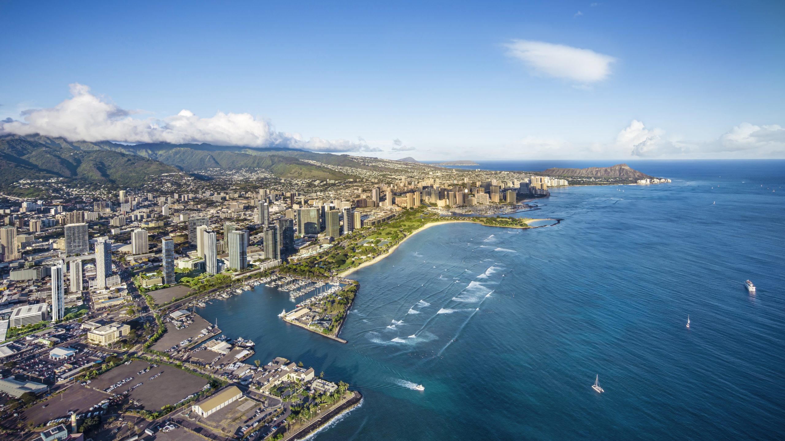 Ward Family Legacy | Ward Village